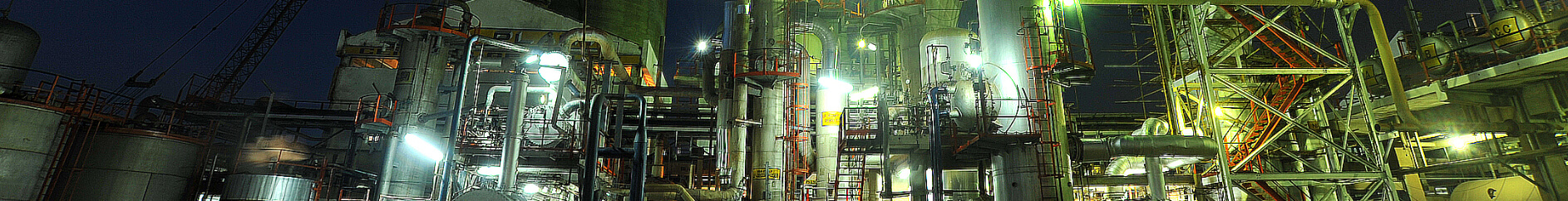 Companies - Southern Petrochemical Industries Corporation Limited, India