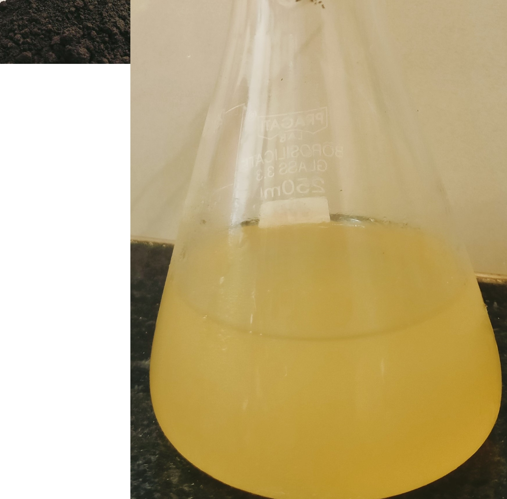 Bio Fertilizers - Southern Petrochemical Industries Corporation Limited ...